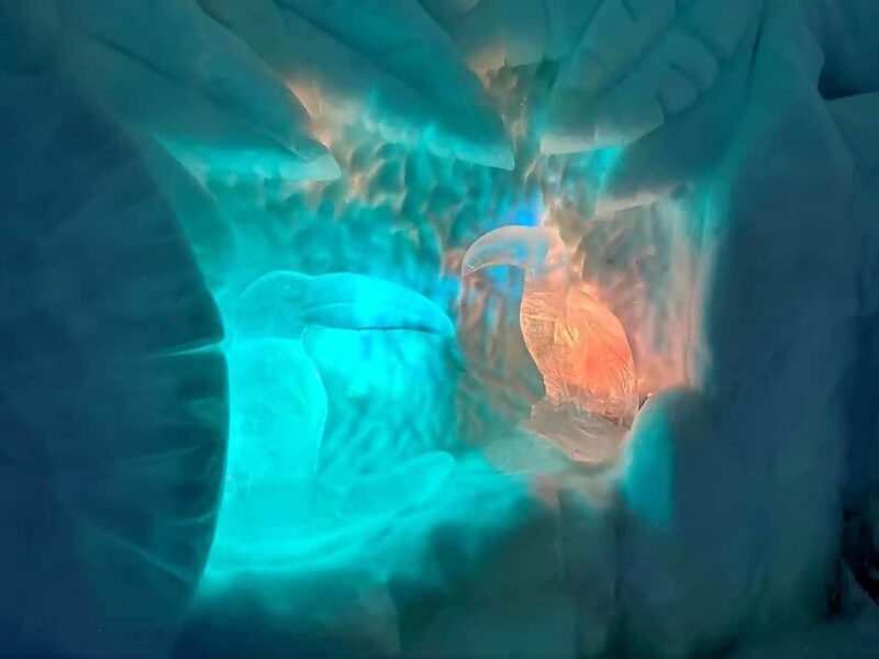 Rovaniemi: Santa Claus Village and Santa Park Day Trip - Authentic Insights from Reviewers