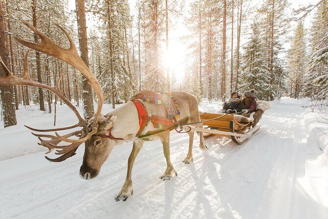 Rovaniemi Santa Claus Village Husky and Reindeer Tour VIP VAN - An In-Depth Look at the Tour Experience