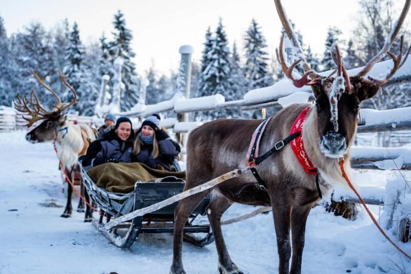 Rovaniemi: Santa Claus Village + Husky & Reindeer Sled Ride - Who Will Love This Tour?