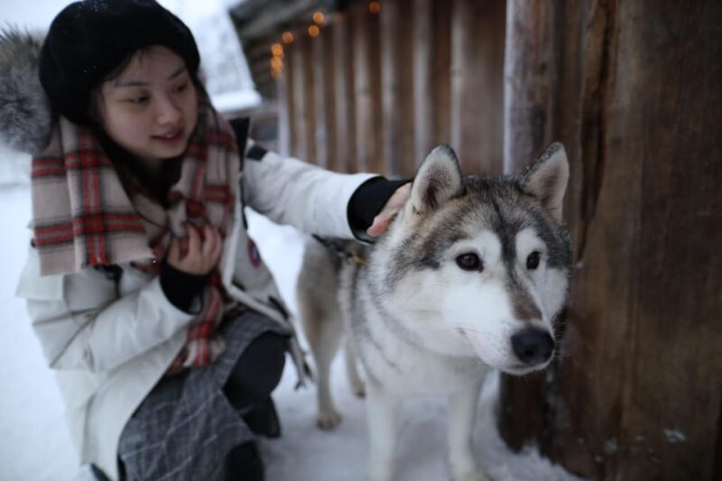 Rovaniemi: Santa Claus Village Tour Huskies & Reindeer ride - Practical Tips for a Smooth Experience