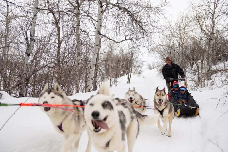 Rovaniemi: Santa Claus Village with Husky & Reindeer Ride - Practical Details and Logistics