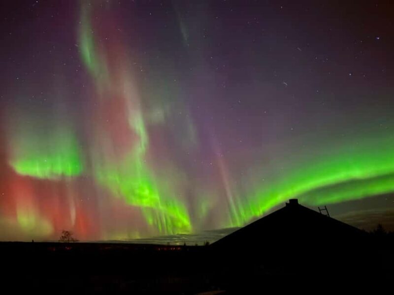 Rovaniemi: Santa's Reindeer and Husky Safari with Aurora BBQ - The Evening: Aurora Hunting and BBQ