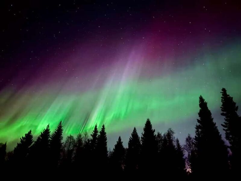 Rovaniemi: Santa's Reindeer and Husky Safari with Aurora BBQ - Food and Drink: Local Flavors in a Cozy Setting