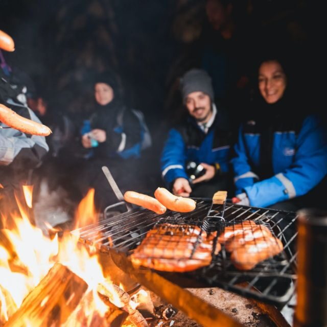 Rovaniemi: Search for Northern Lights Snowmobiling Trip - Authenticity and Reviews: What Travelers Say