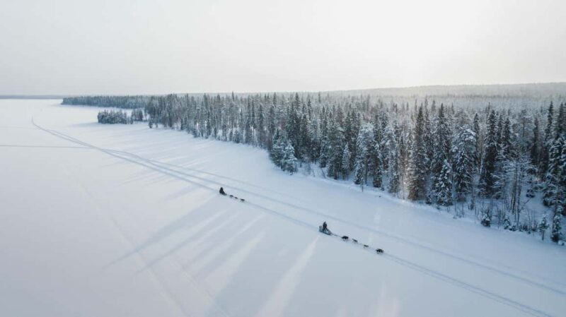 Rovaniemi: Self-Driving Husky Tour 7-kilometers - Value for Money