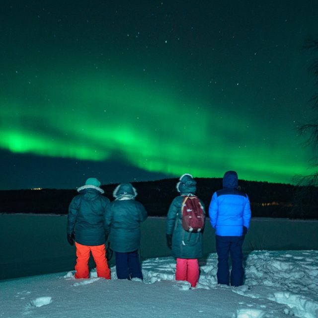 Rovaniemi: Small Group Aurora Hunt-full money back guarantee - The Cost and Value