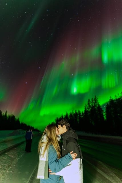 Rovaniemi: Small Group Northern Lights Guaranteed Sightings - Key Points