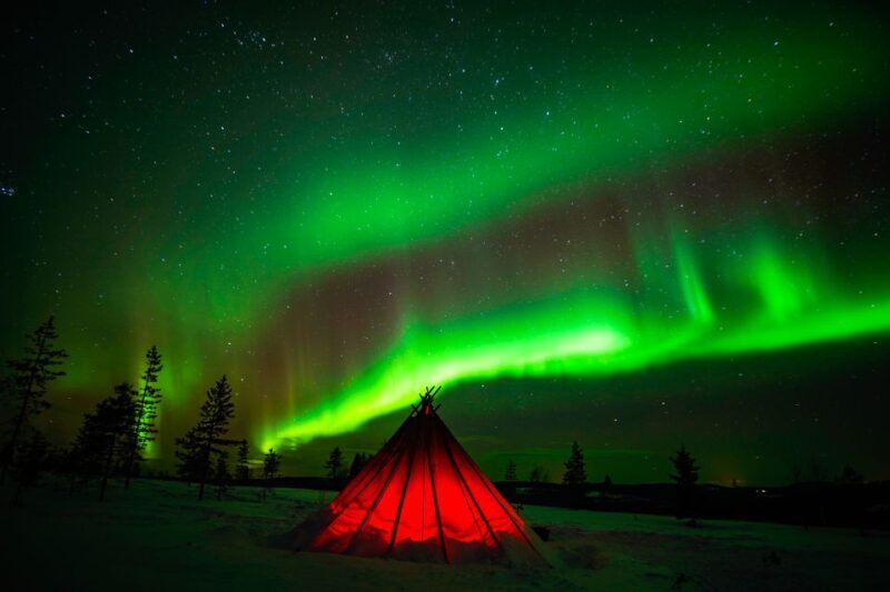 Rovaniemi: Small-Group Northern Lights Wilderness Tour - Key Points
