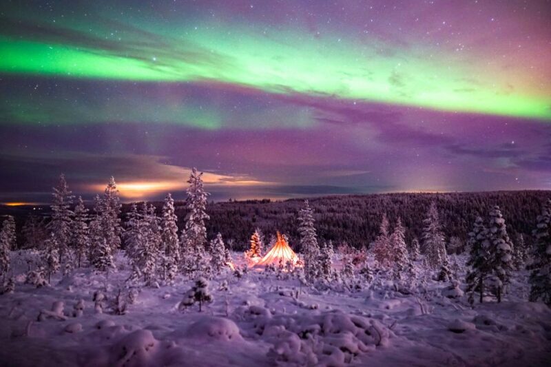 Rovaniemi: Small-Group Northern Lights Wilderness Tour - An in-depth look at the Rovaniemi Northern Lights Tour