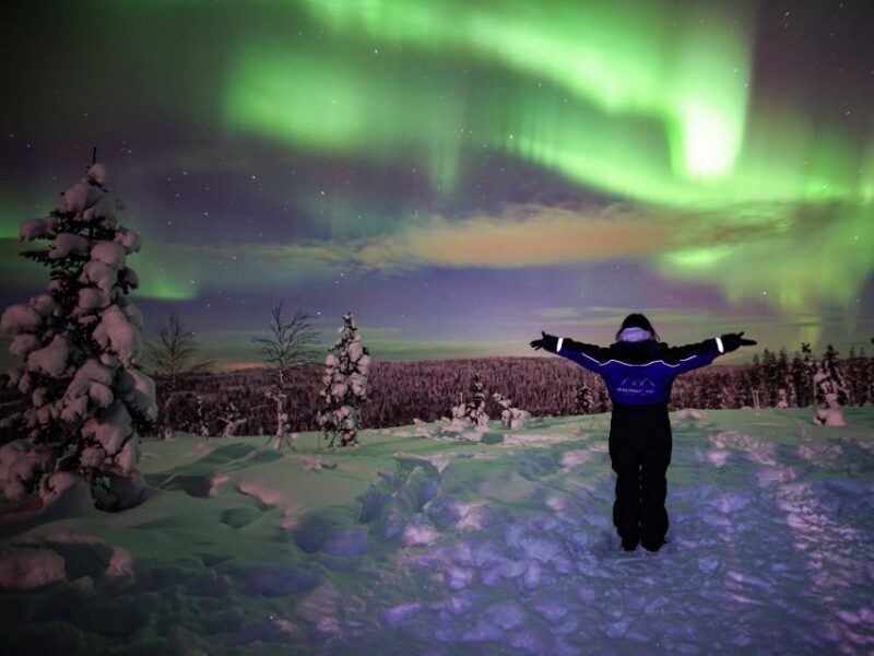 Rovaniemi: Small-Group Northern Lights Wilderness Tour - The Sum Up