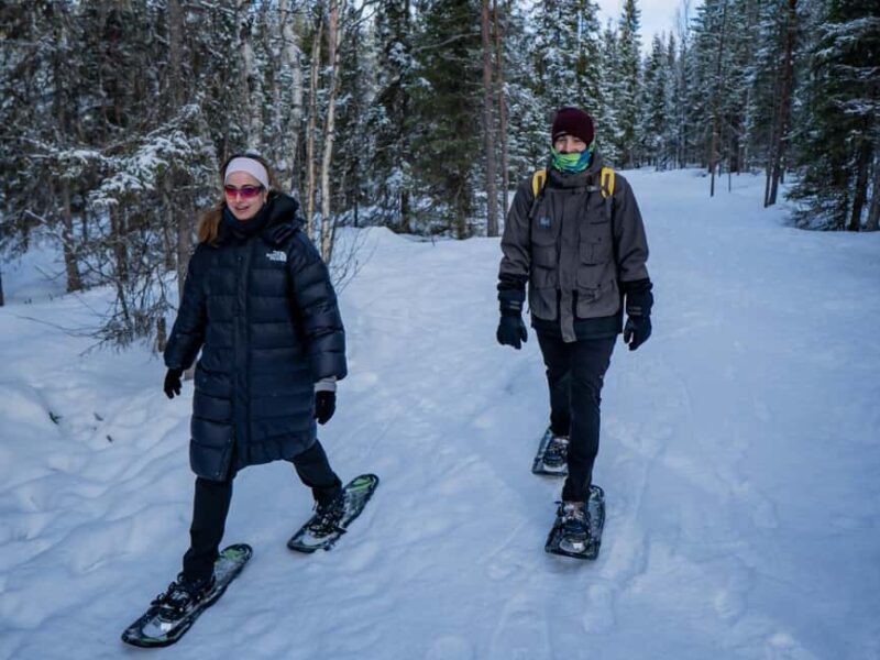 Rovaniemi: Small-Group Snowshoe Tour at Vikaköngäs & BBQ - Why This Tour Is a Great Choice