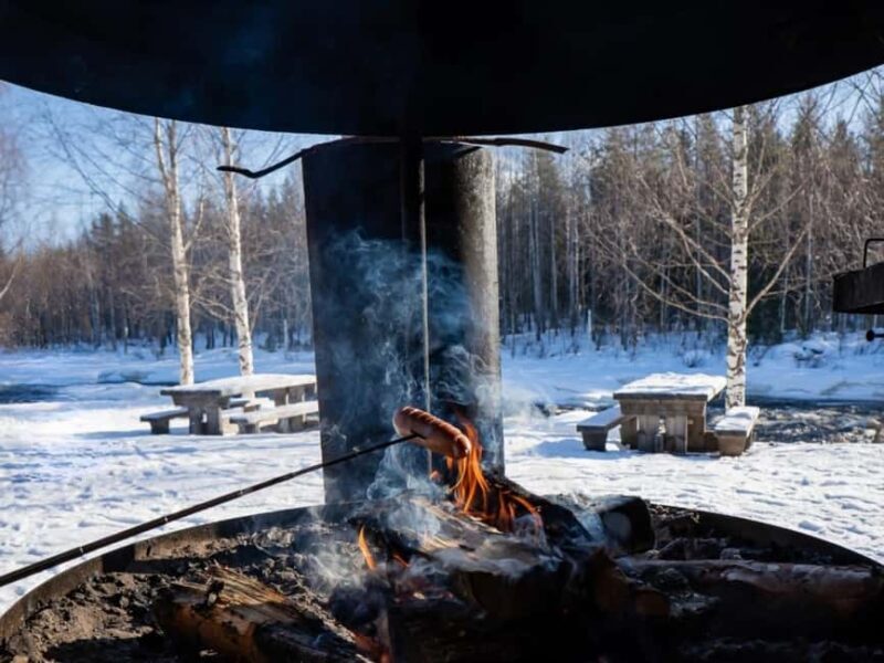 Rovaniemi: Small-Group Snowshoe Tour at Vikaköngäs & BBQ - The Sum Up