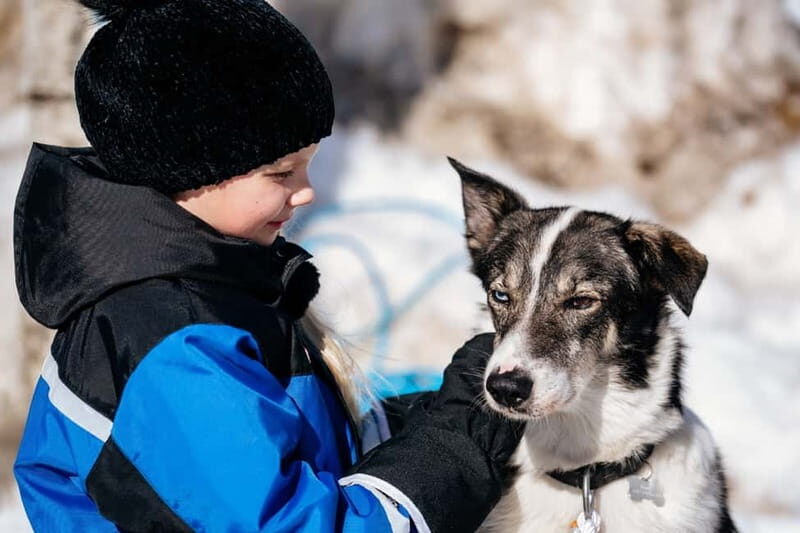 Rovaniemi: Snow Tour with Huskies, Reindeer, & Mini Scooters - Key Points