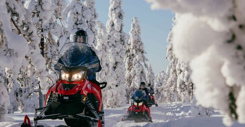 Rovaniemi: Snowmobile Adventure Tour for Adults Only - A Deep Dive into the Snowmobile Safari Experience