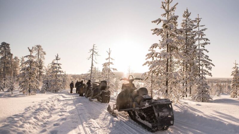 Rovaniemi: Snowmobile Adventure Tour for Adults Only - FAQ