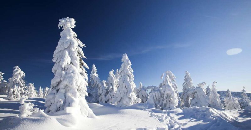 Rovaniemi: Snowmobile Safari Adventure - Exploring the Rovaniemi Snowmobile Safari in Detail