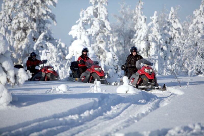 Rovaniemi: Snowmobile Safari Adventure - Who Is This Tour Best Suited For?