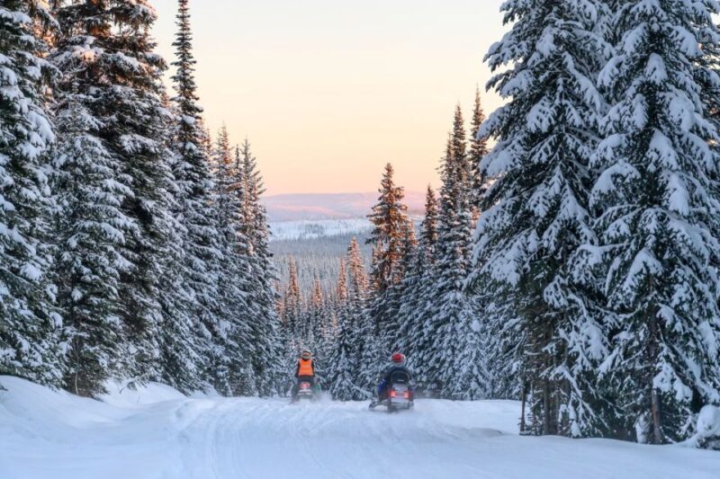 Rovaniemi: Snowmobile Safari Adventure - FAQ