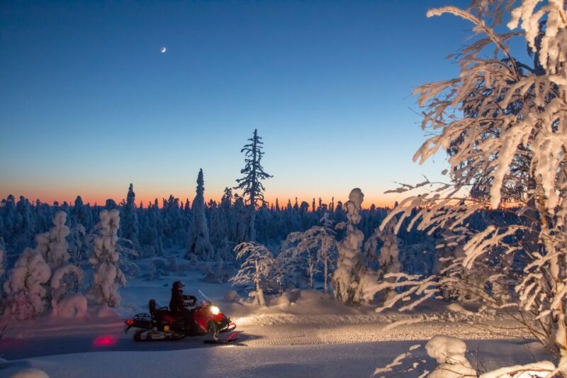 Rovaniemi: Snowmobile Safari & Campfire Evening Escape - Key Points