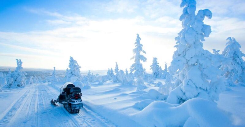 Rovaniemi: Snowmobile Safari in the Arctic Circle - Key Points