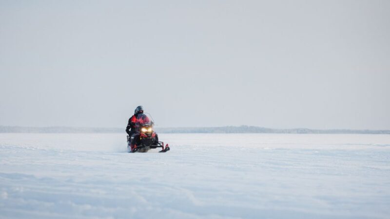 Rovaniemi: Snowmobile Safari in the Arctic Circle - The Experience: What You Can Expect