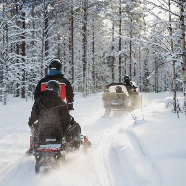 Rovaniemi: Snowmobile Safari in the Arctic Circle - The Value of the Experience