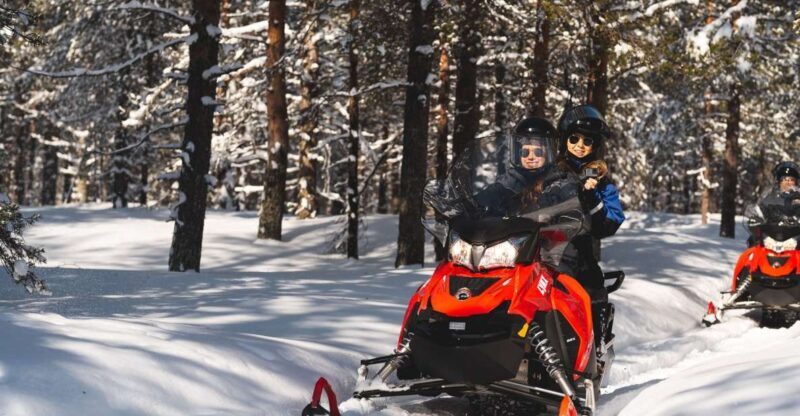 Rovaniemi: Snowmobile Safari into the Arctic Circle Forest - The Itinerary Breakdown