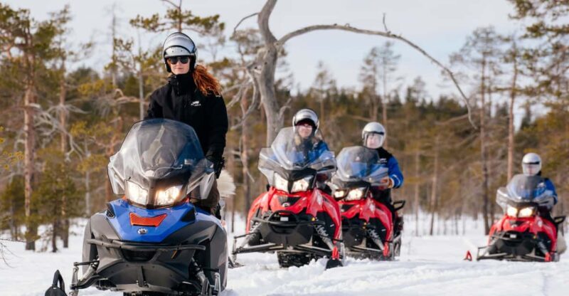 Rovaniemi: Snowmobile Safari into the Wilderness - An In-Depth Look at the Snowmobile Safari Experience