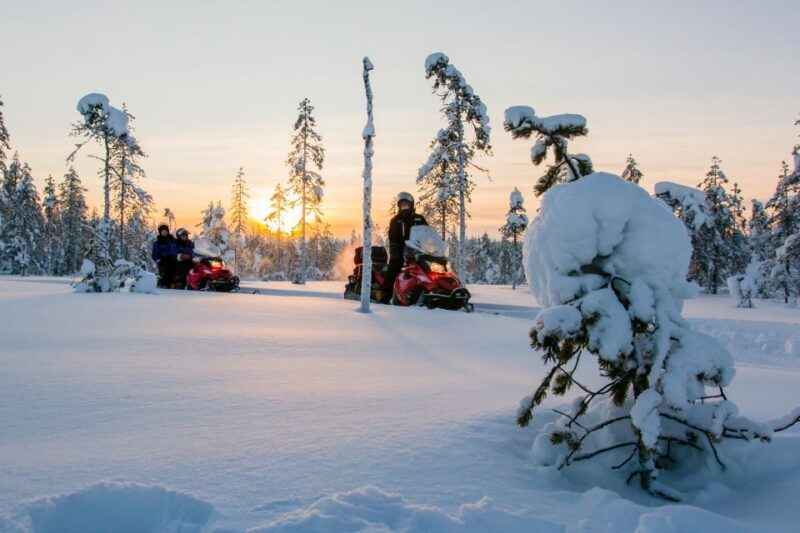 Rovaniemi: Snowmobile Safari to a Reindeer Farm - Rovaniemi: Snowmobile Safari to a Reindeer Farm — A Complete Review