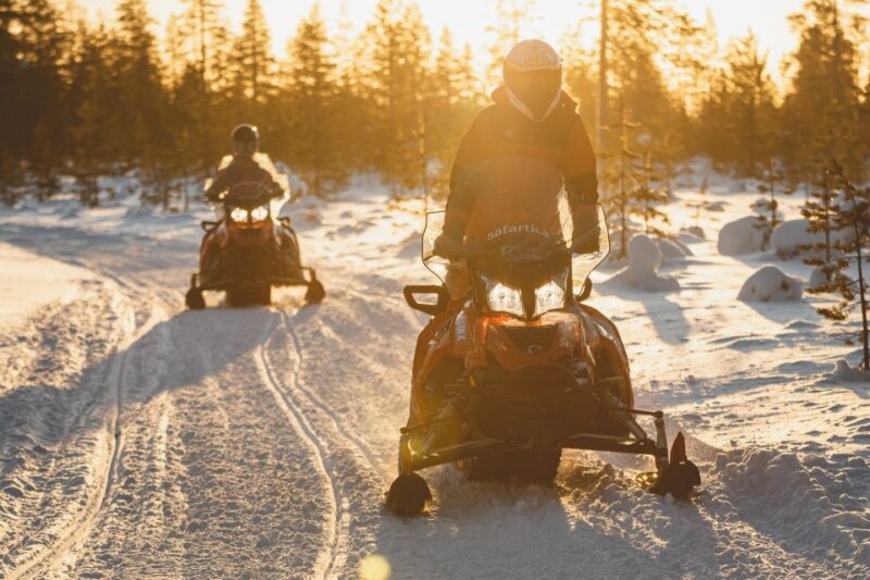 Rovaniemi: Snowmobile Safari to Arctic Snow Hotel - Who Is This Tour Best For?  