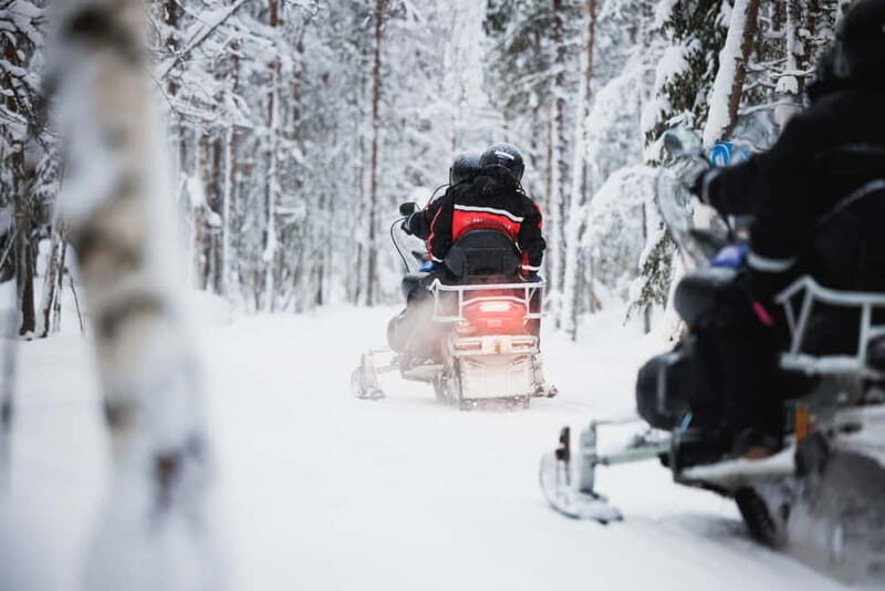Rovaniemi: Snowmobile Tour and Reindeer Experience - Who Will Love This Experience?
