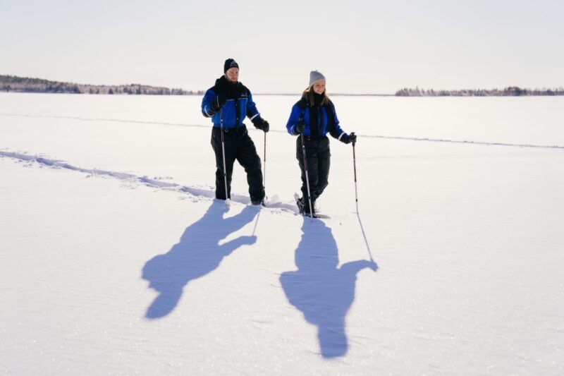 Rovaniemi: Snowshoe Walk to The Arctic Nature - Key Points  