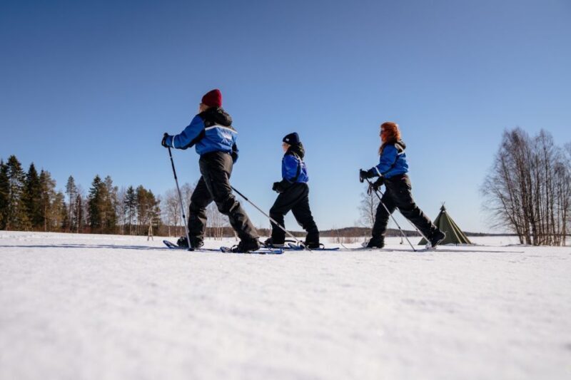 Rovaniemi: Snowshoe Walk to The Arctic Nature - Insights from Reviews  