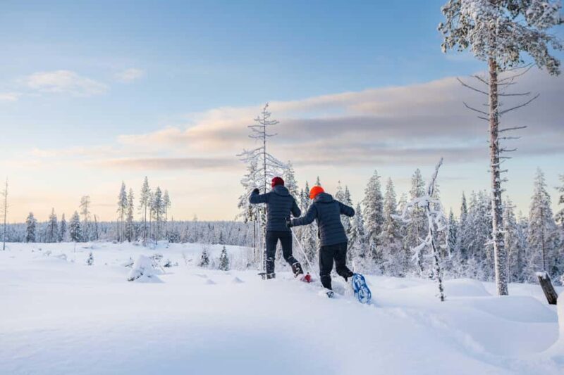 Rovaniemi: Snowshoe Wilderness Adventure with Photos & BBQ - Final Thoughts: Who Is This Tour Best For?  