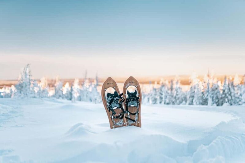 Rovaniemi: Snowshoeing in the Arctic Wilderness - Key Points
