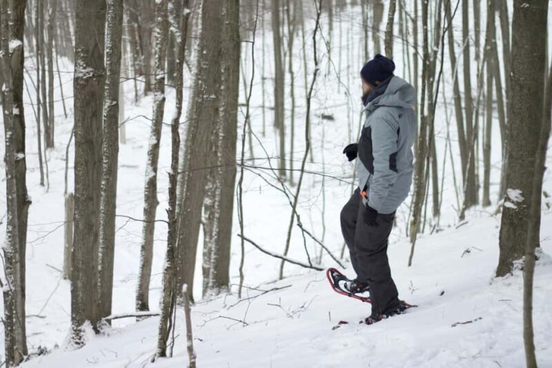 Rovaniemi: Snowshoeing Tour with Wild Lunch and Hotel Pickup - What to Expect in Terms of Quality and Value