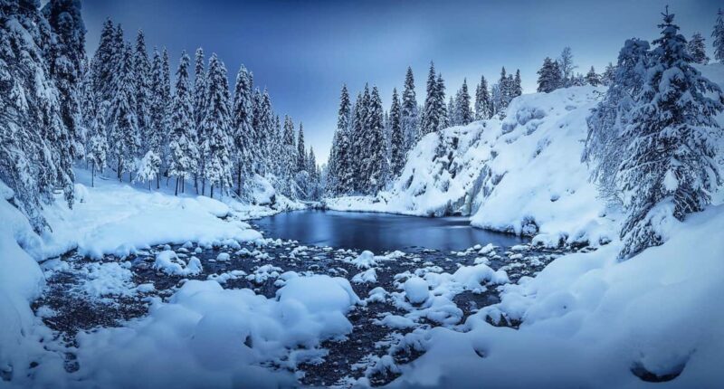 Rovaniemi: Snowy Forest Like in the Movies 3 Hour Tour - An Adventure in a Silent, Snowy Forest