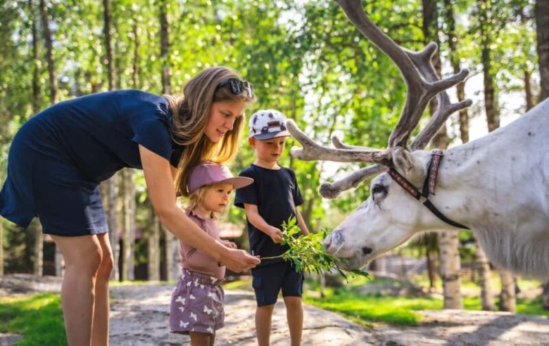 Rovaniemi: Summer/Autumn Reindeer Farm Experience - Key Points
