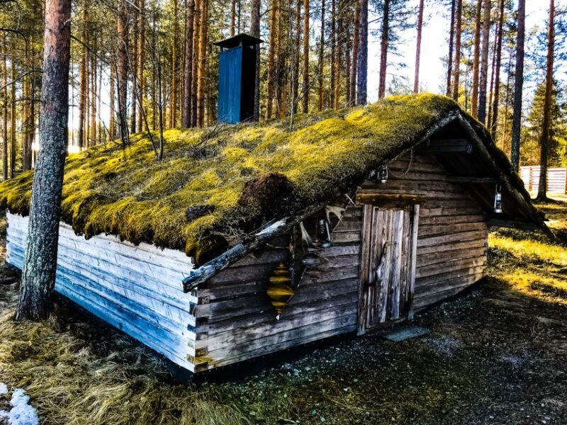 Rovaniemi: Summer Reindeer Farm Experience - What to Expect During the Tour