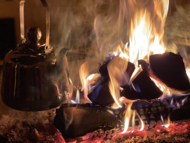 Rovaniemi: Traditional Finnhorse Sleigh Ride at SCV (3km) - Key Points