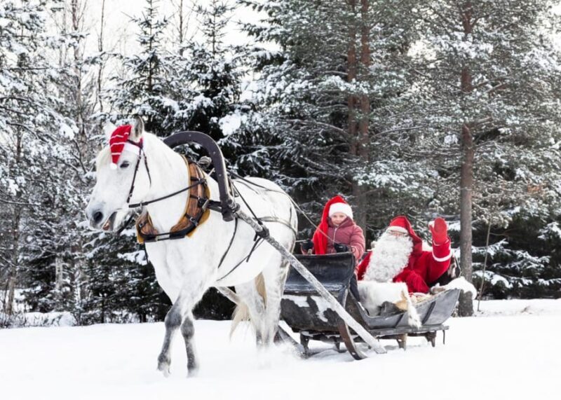 Rovaniemi: Traditional Finnhorse Sleigh Ride at SCV (3km) - Discover the Magic of a Finnhorse Sleigh Ride in Rovaniemi
