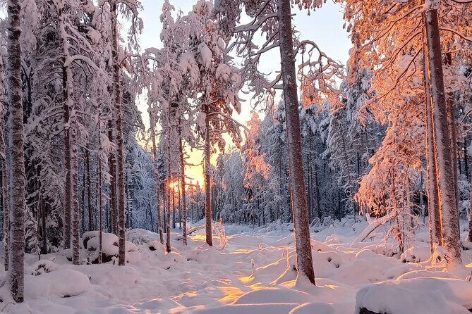 Rovaniemi: Trip to Ranua Zoo with Tickets Included - Pricing and Value Analysis