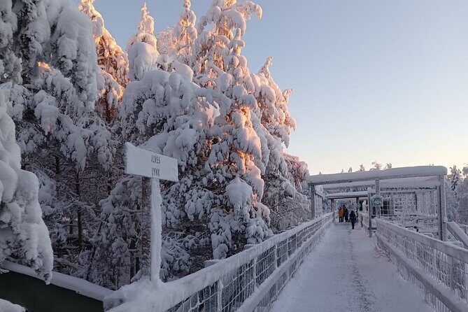 Rovaniemi: Trip to Ranua Zoo with Tickets Included - FAQ