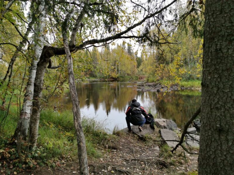 Rovaniemi: Vaattunki Hiking Arctic Circle Trail - Wildlife and Nature Encounters