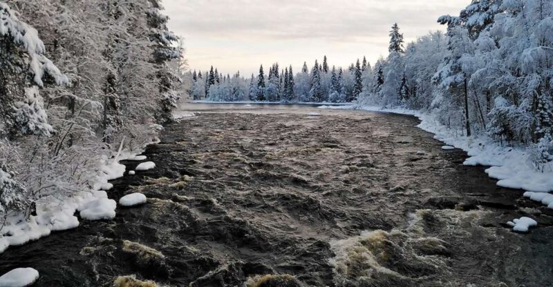 Rovaniemi: Vaattunki Hiking Arctic Circle Trail - The Small Group Advantage