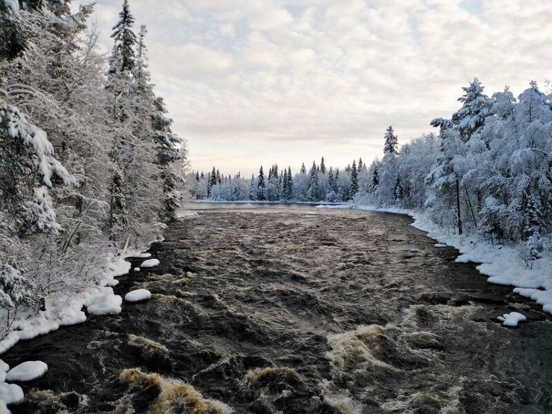 Rovaniemi: Vaattunki Hiking Arctic Circle Trail - Transportation and Practicalities