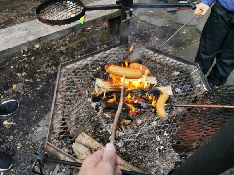 Rovaniemi: Vaattunki Hiking Arctic Circle Trail - Accessibility and Additional Info