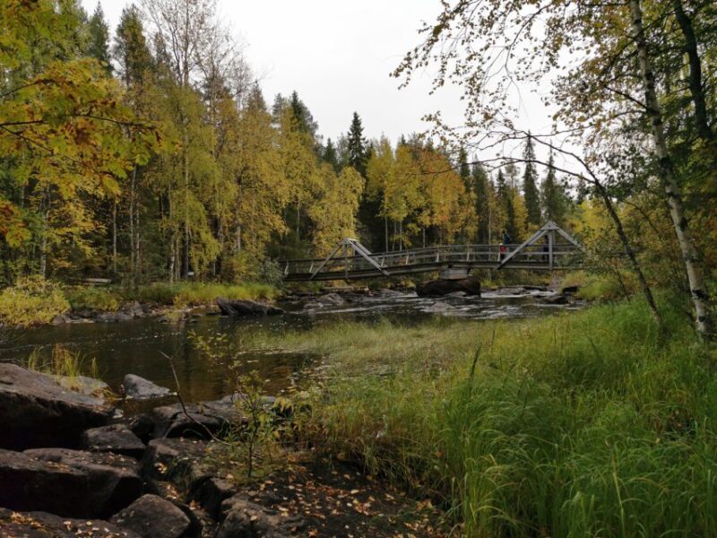 Rovaniemi: Vaattunki Hiking Arctic Circle Trail - Why This Tour Works Well
