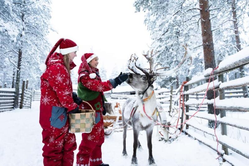 Rovaniemi: Visit to Santa's reindeer farm with reindeer ride - Key Points