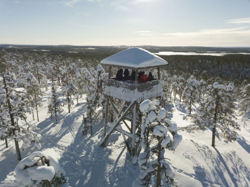 Rovaniemi: Wilderness Tour - Engaging Meta Description:  
